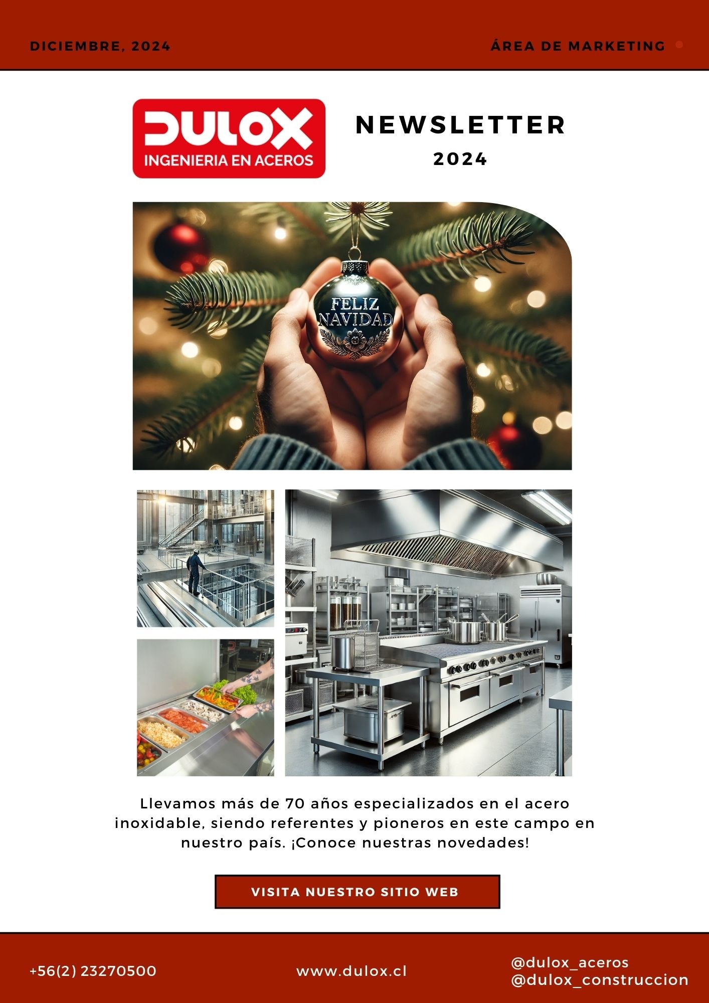 NEWSLETTER DICIEMBRE – Dulox Tienda